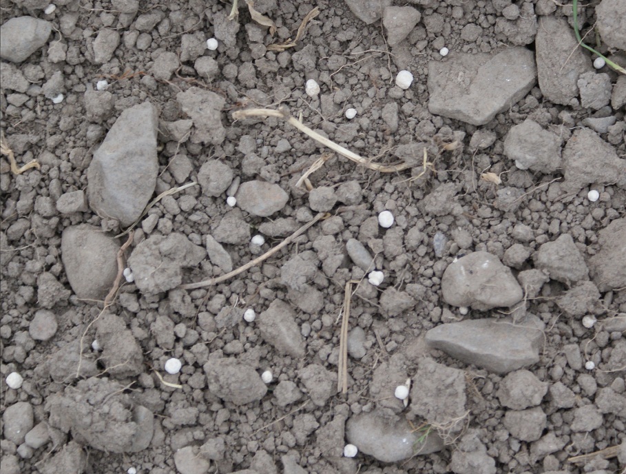 A Dash of Lime – Bog Myrtle & Peat