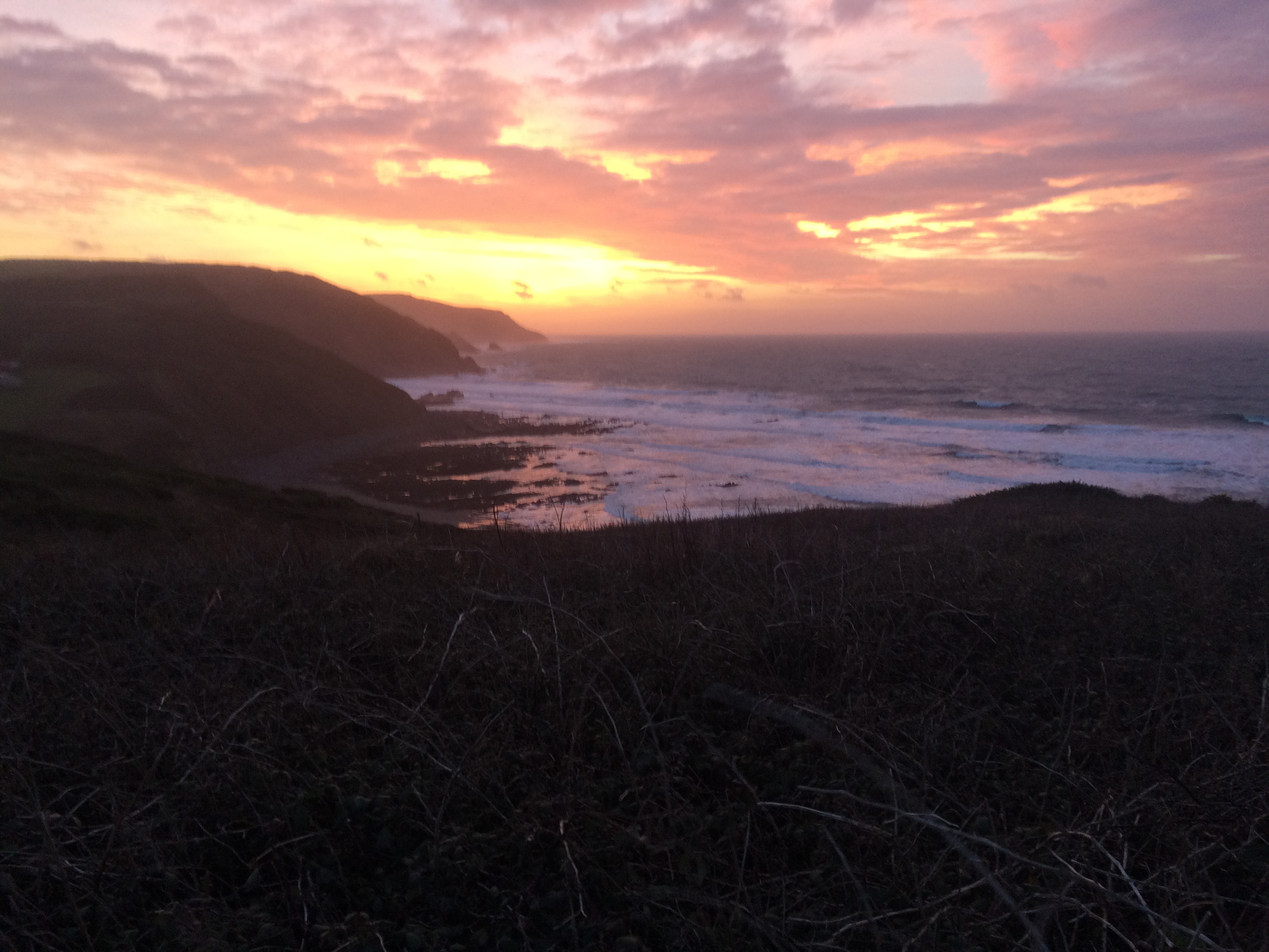 Cornish Country – Bog Myrtle & Peat