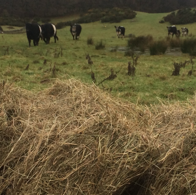 Food Critics – Bog Myrtle & Peat