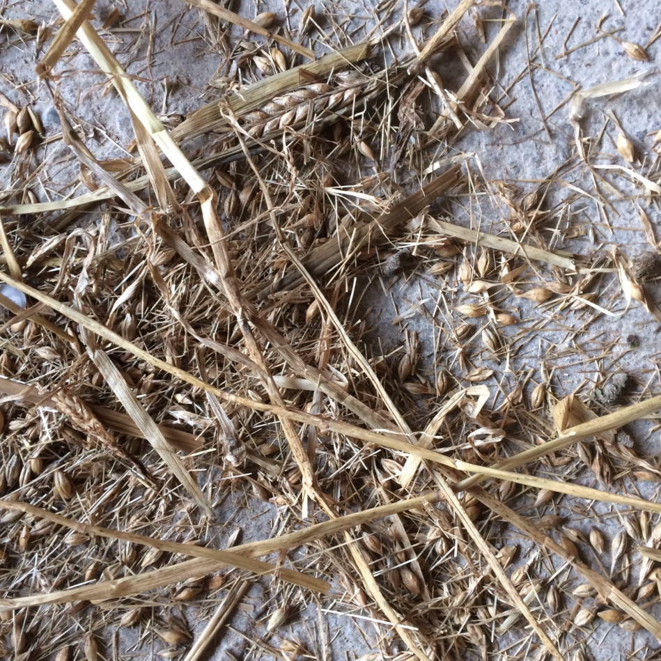 “Stirring the Pot” – Bog Myrtle & Peat