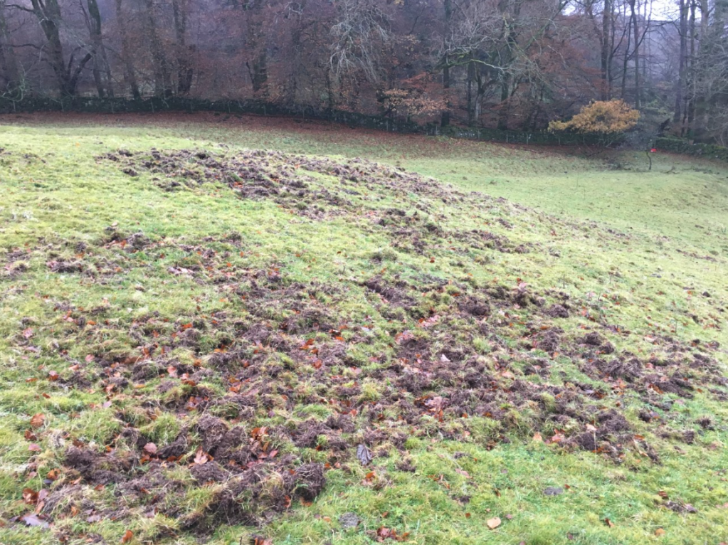 Rootling – Bog Myrtle & Peat