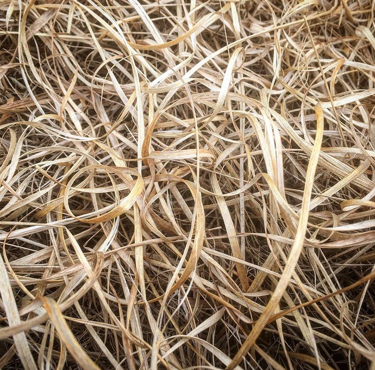 Sliabh – Bog Myrtle & Peat